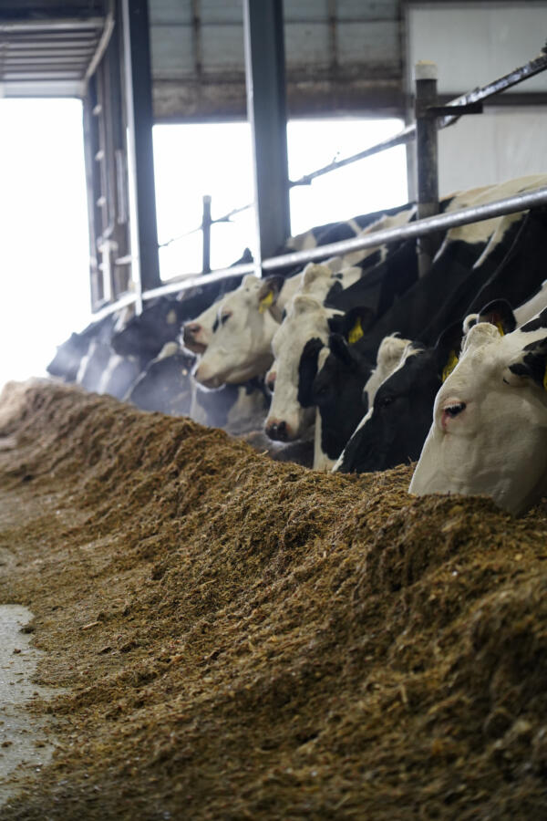 About Us and Liquid Feed Supplements - Westway Feed Products